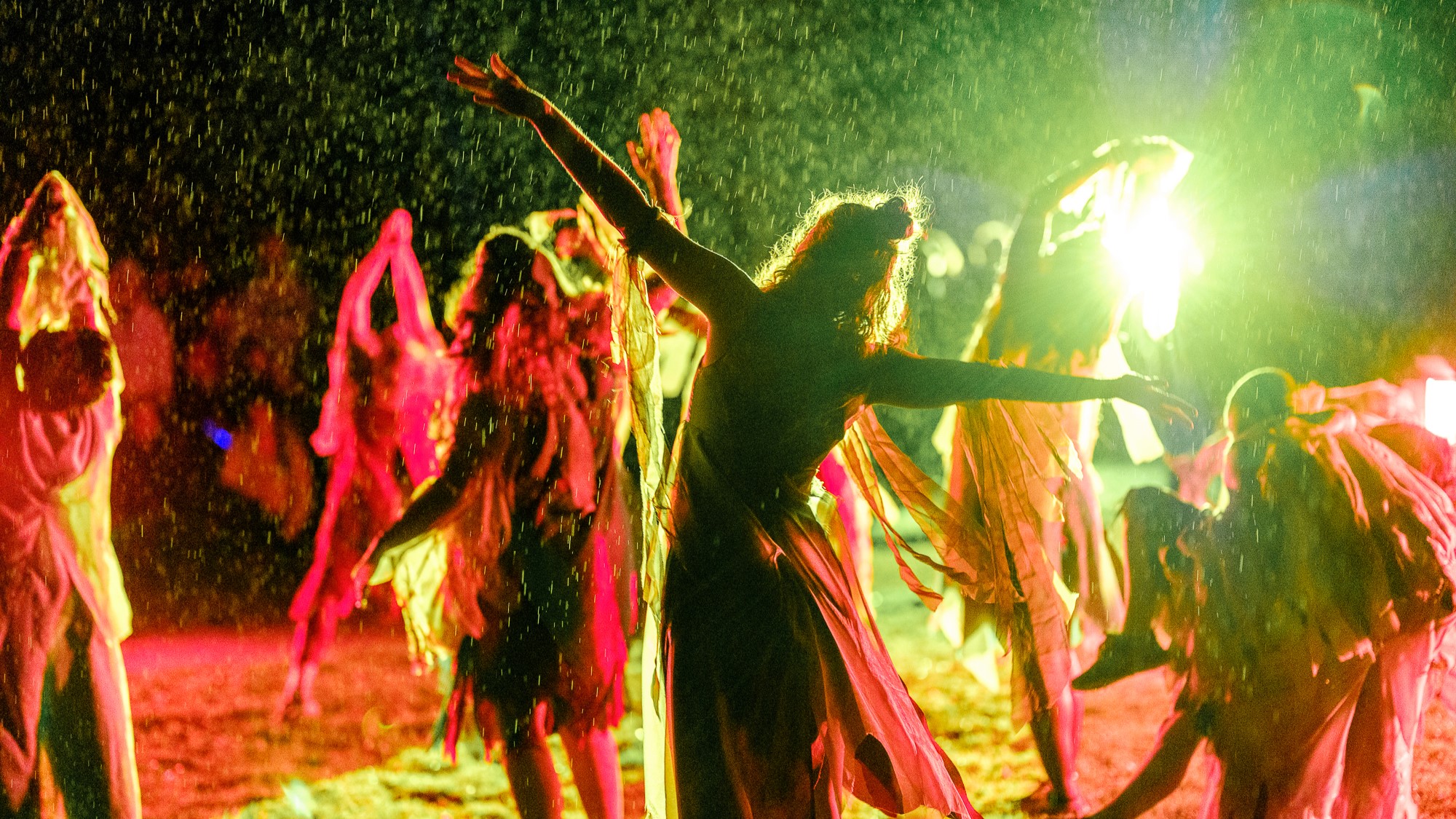 2024 Vitality Grants: Supporting Arts & Culture - Rochester Area ...